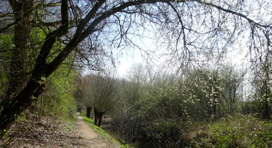 Via Gorzenpark, Crezéepolder en door de Ridderkerkse griend. (7.2 km ...