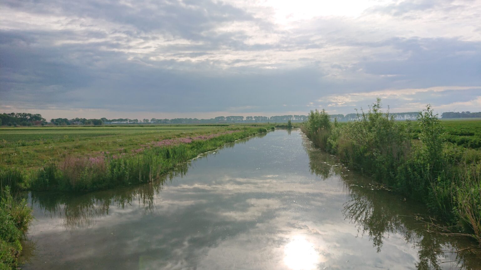 Natuurvriendelijke oevers – Natuurvereniging IJsselmonde